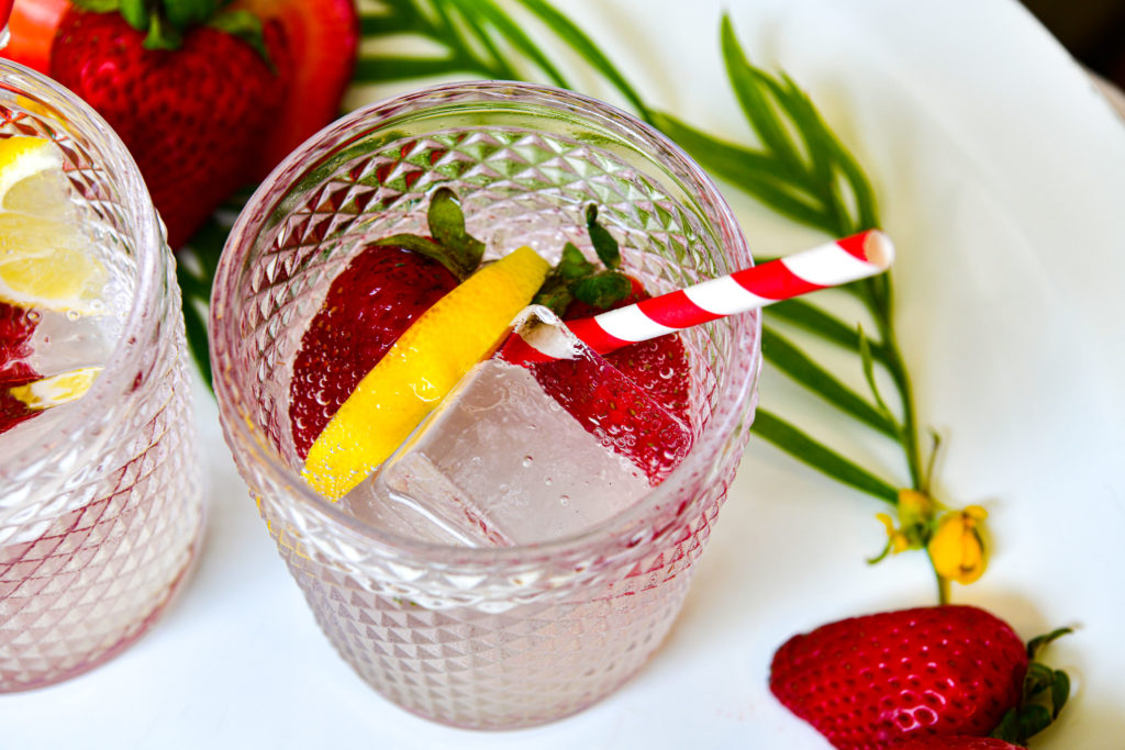 Gin Sonic - NOLET’S Gin Recipe Soda + Tonic